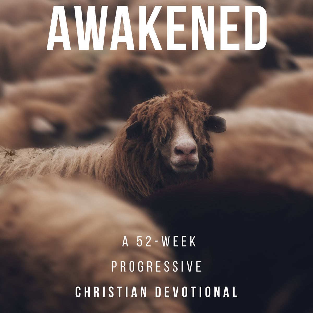 Awakened: A 52-Week Progressive Christian Devotional — Chalice Press