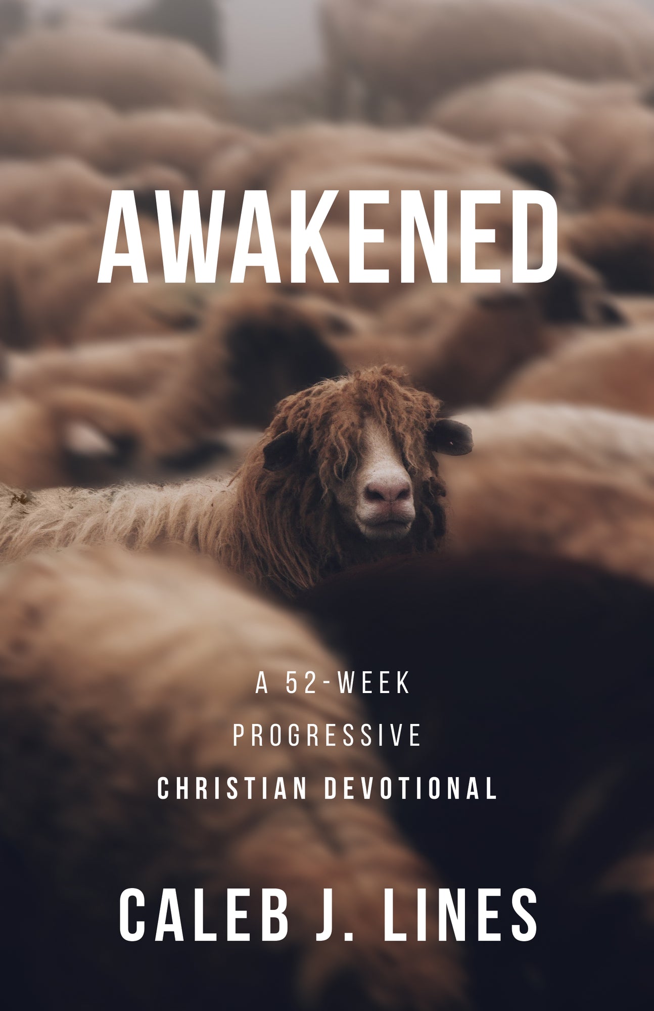 Awakened: A 52-Week Progressive Christian Devotional — Chalice Press