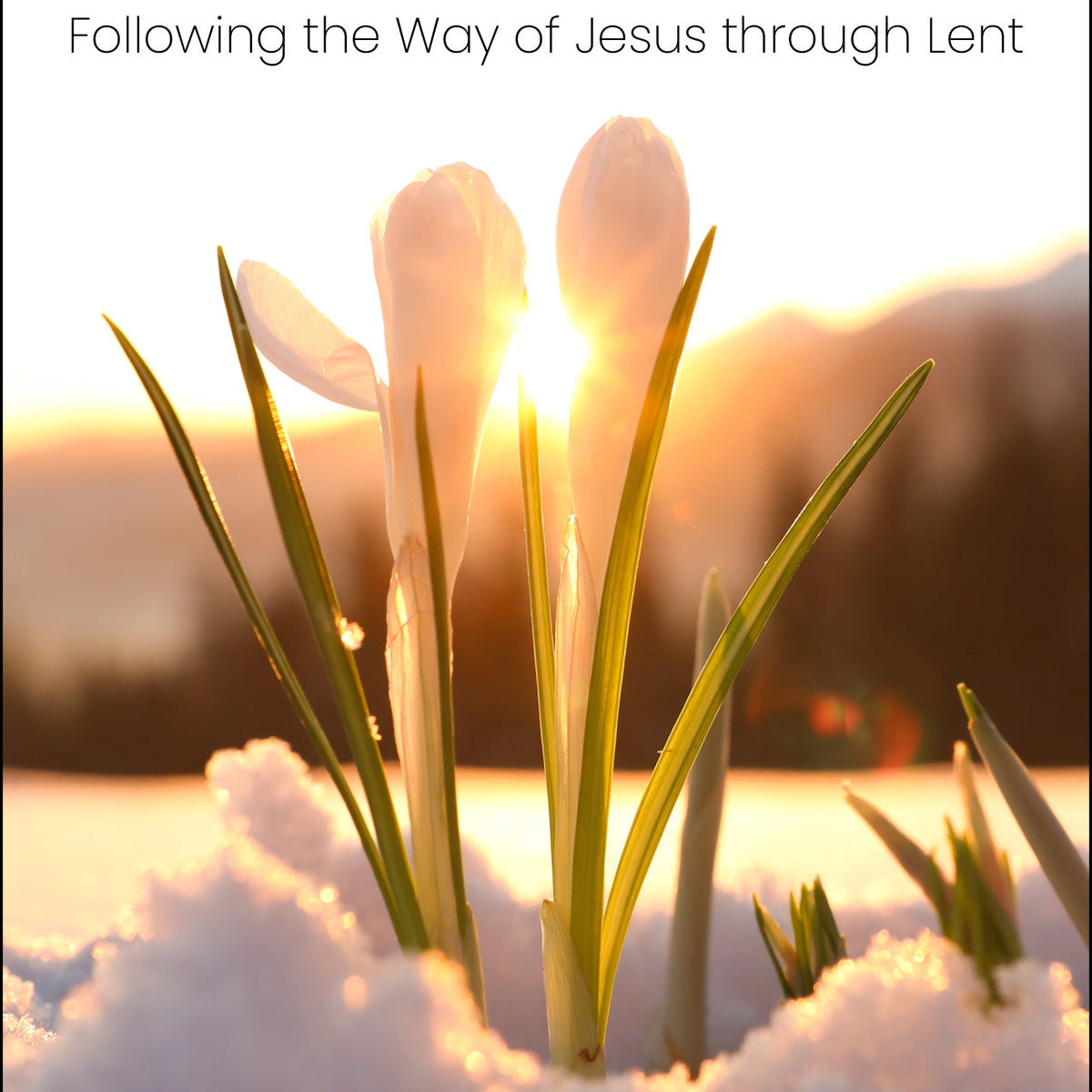 Rest & Resilience: Following the Way of Jesus through Lent — Chalice Press